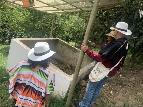 Coffee Farm Tour in Bogota | Organic Bean-to-Brew Experience