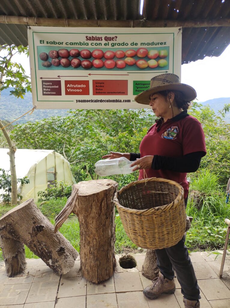 Coffee Farm Tour in Bogotá | From Bean to Brew with The True The true ...