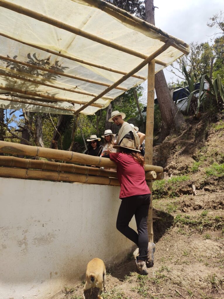 Coffee Farm Tour in Bogotá | From Bean to Brew with The True The true ...