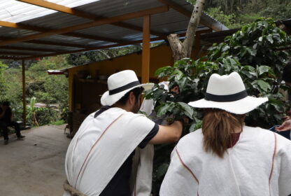 Coffee Farm Tour in Bogotá | From Bean to Brew with The True The true ...